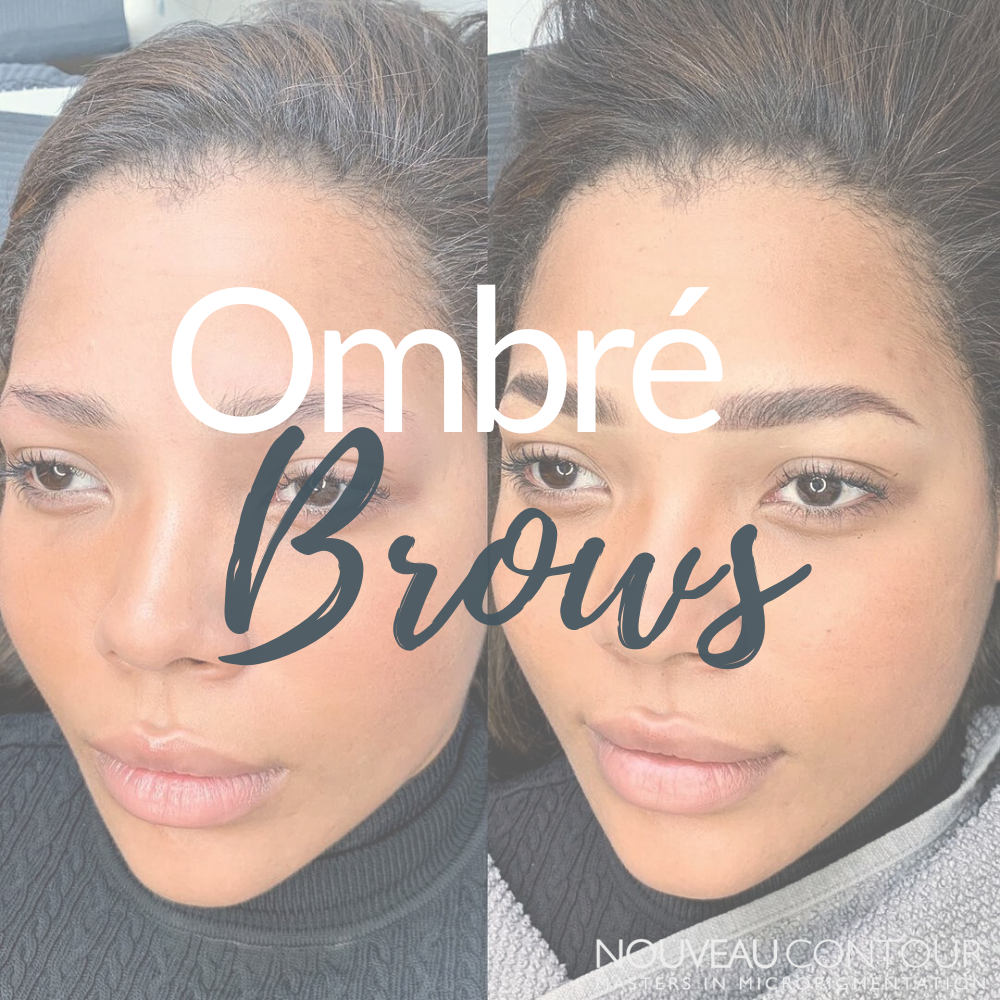 Advanced Training - Ombré/Fashion Powder Brows In-Person – Nouveau Contour USA